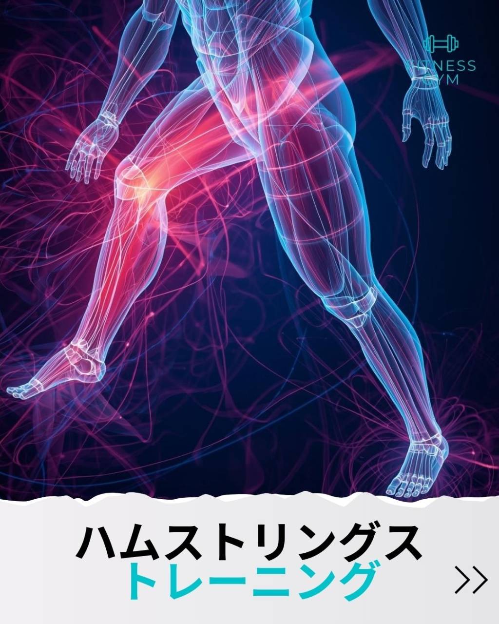 美脚を作るハムスト筋トレ法 | コラム | 大阪市淀川区塚本のジムならフィットネスクラブzenfit